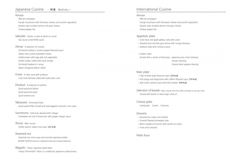 ana_F_menu : AirlineReporter