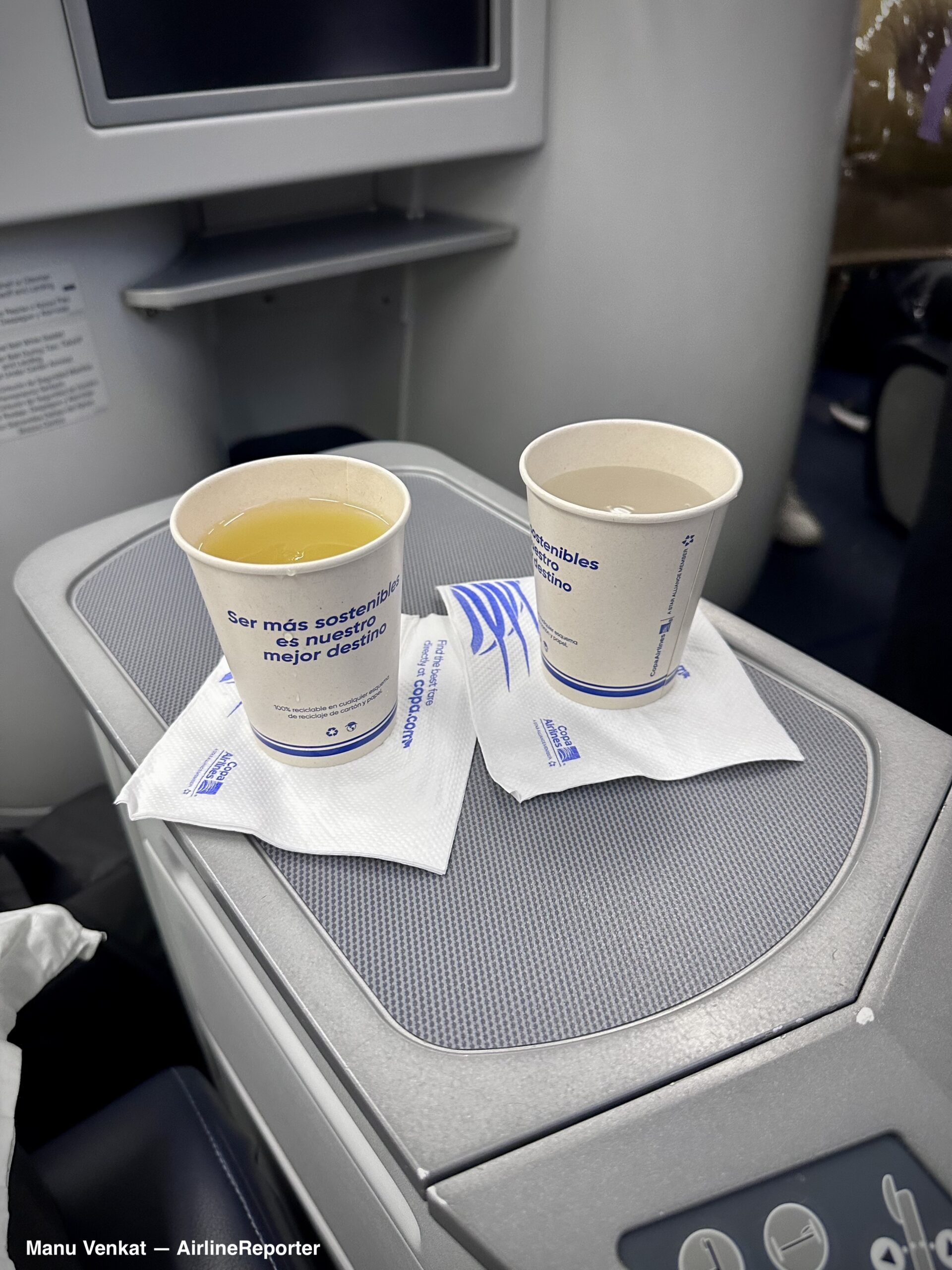 Copa Airlines’ 737 MAX Medium-Haul Business Class : AirlineReporter
